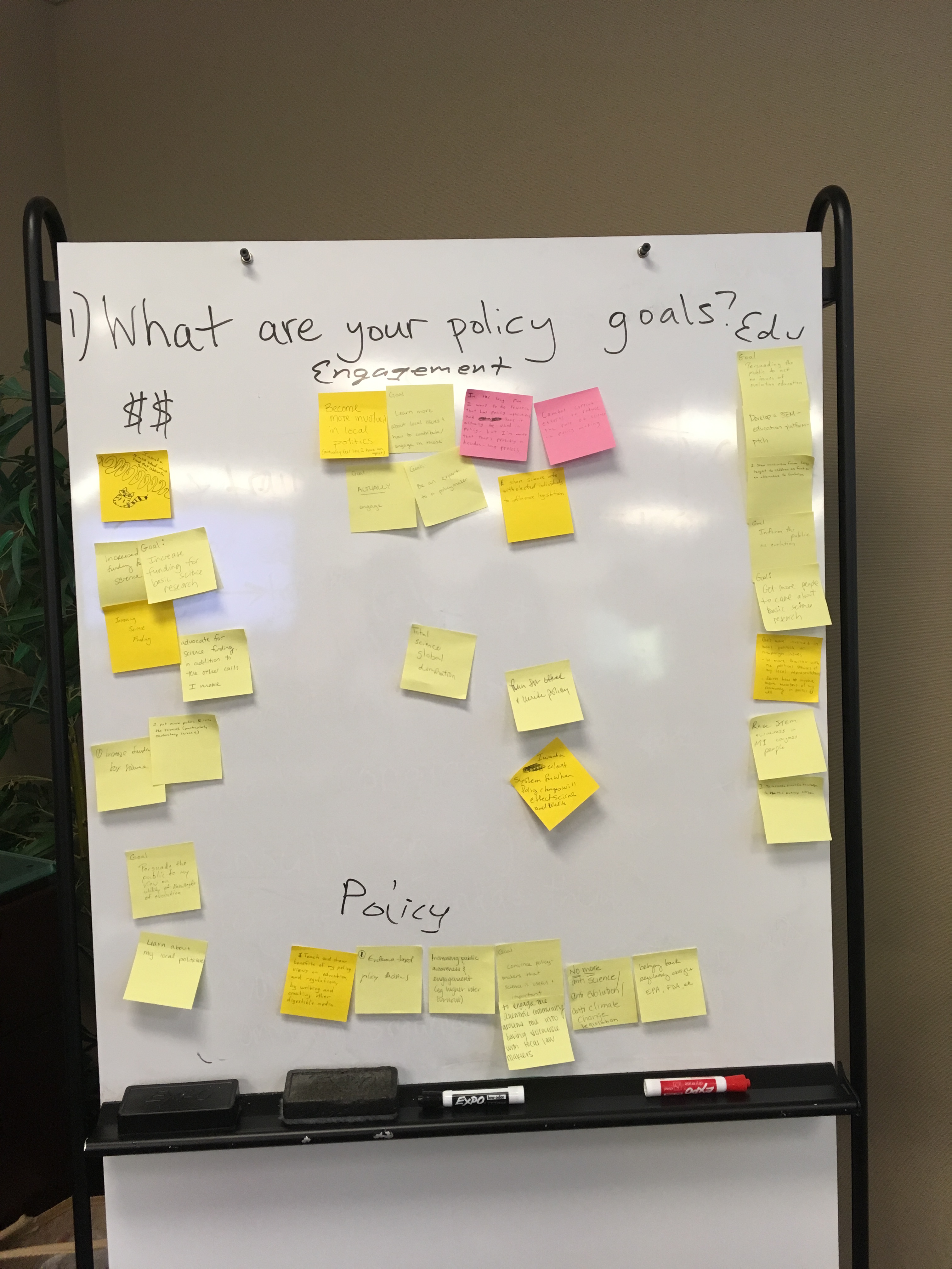 PolicySandbox2017 | Tessa Solomon-Lane